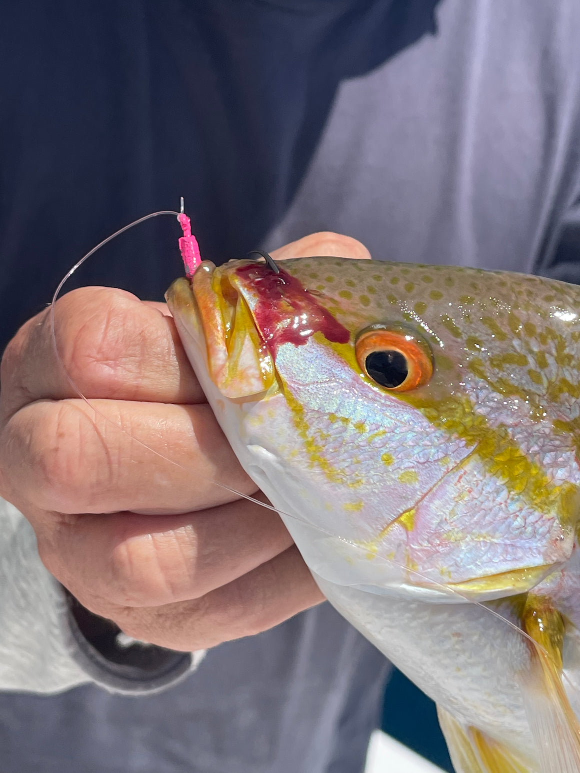 Yellowtail Jig (Owner Aki Hook) – CaptainChappy